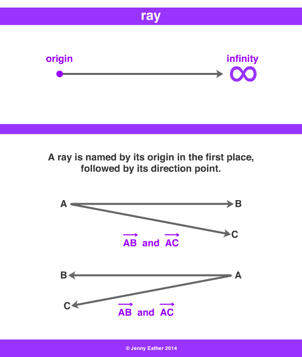 Ray A Maths Dictionary For Kids Quick Reference By Jenny Eather